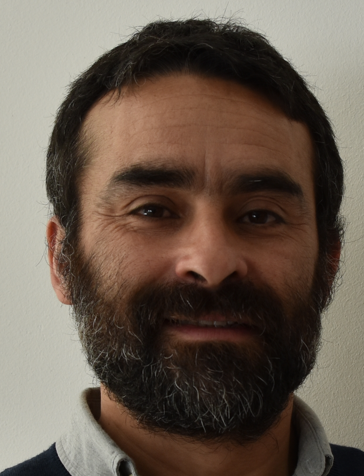 Rodrigo Díaz web - Encuentros El Mercurio